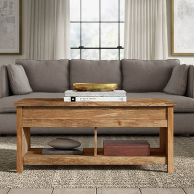 Mathis lift top coffee table with storage darby home co store